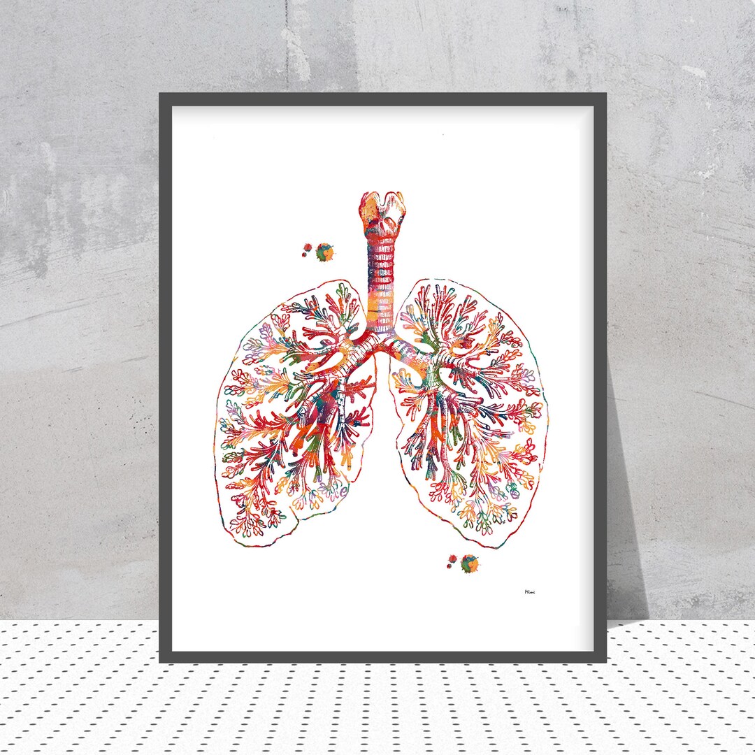 Anatomical Lungs Art Print Anatomy Art Alveolar Respiratory System ...