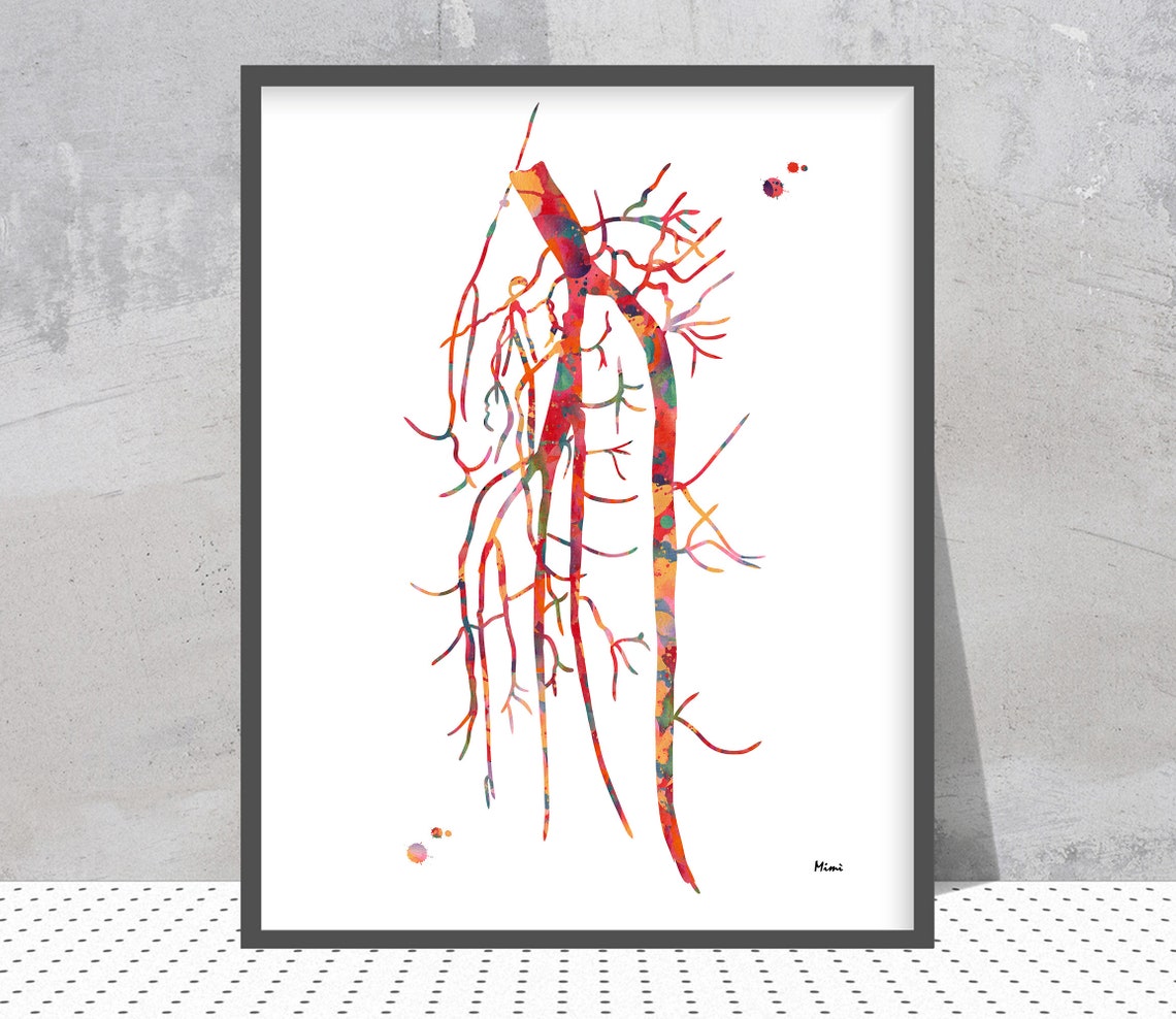 Angiogram Print Popliteal Artery Watercolor Angiography | Etsy