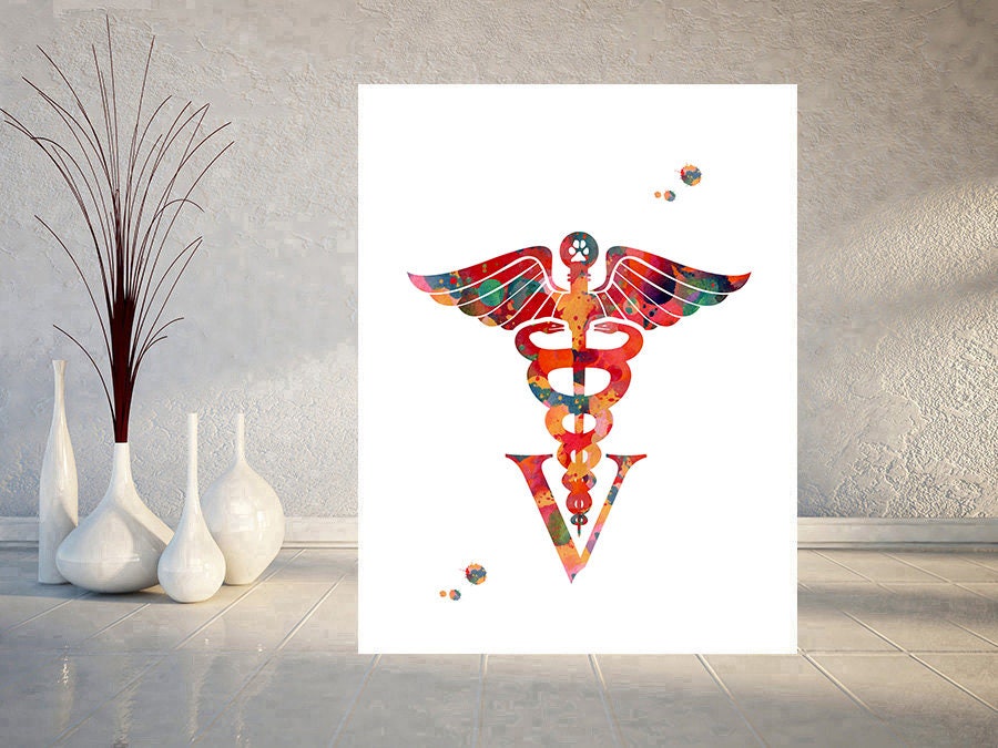 Veterinary Caduceus Watercolor Print Veterinary Clinic Medical - Etsy