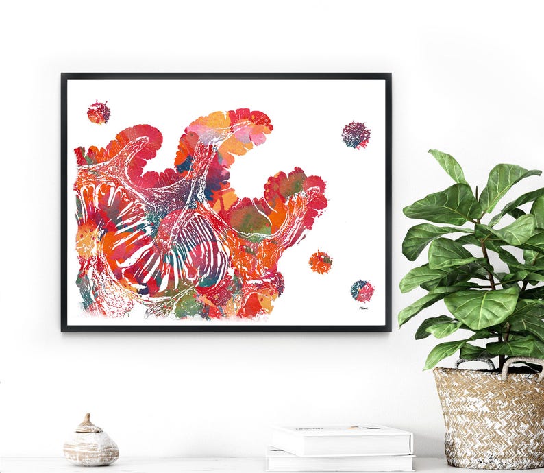 Colon Histology Watercolor Print, Abstract Anatomy Art, Digestive ...