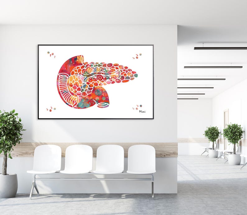 Pancreas Art Print | Abstract Anatomy, Endocrinology Art - Etsy