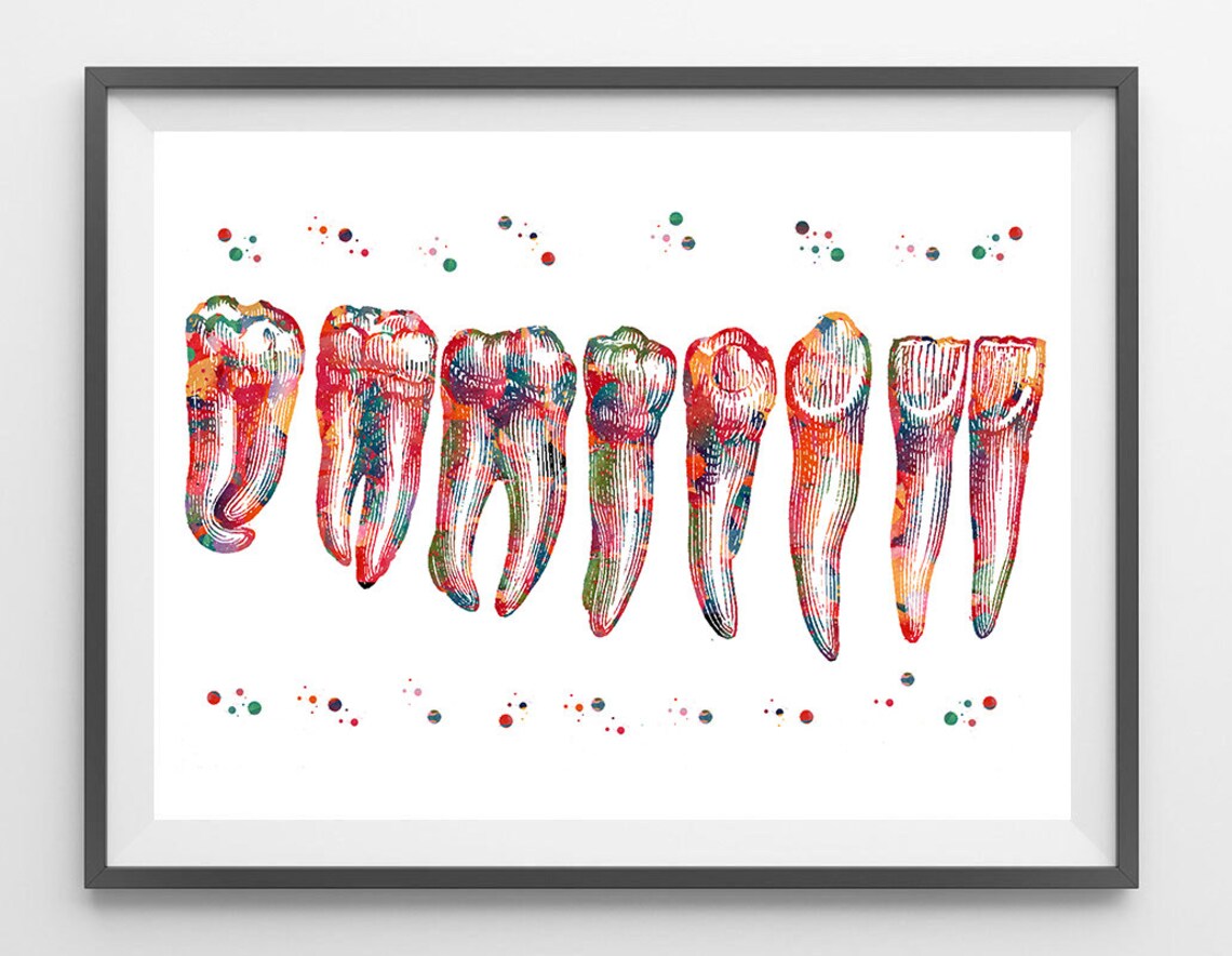 Dental Art Print Teeth Anatomy Art Teeth Row Watercolor | Etsy