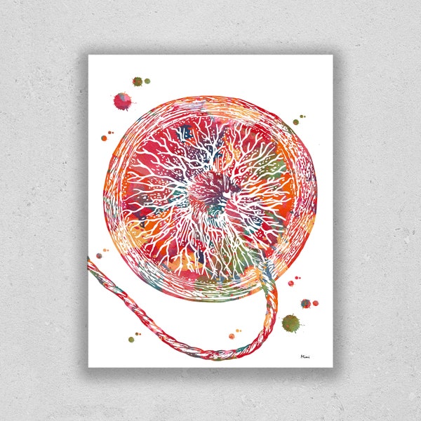 Placenta - Etsy