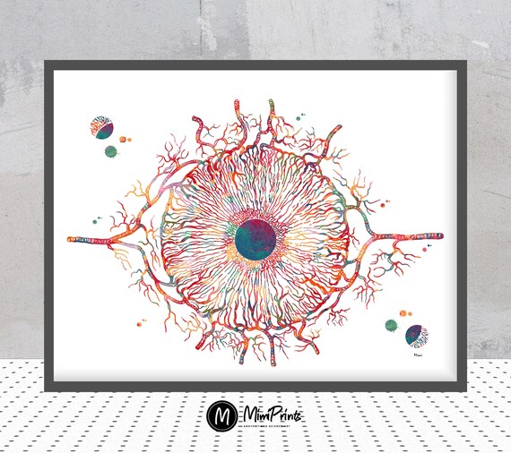 Eye Medical Illustration