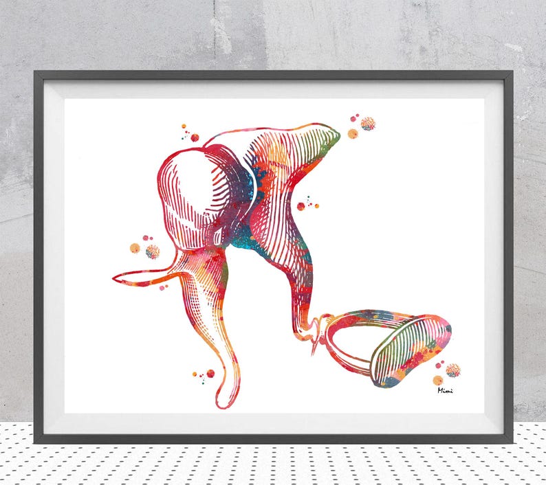 Ear Ossicles Print Human Ear Anatomy Watercolor Auditory Ossicles Incus ...