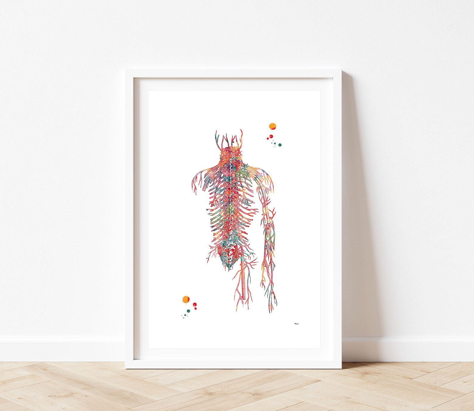 Circulatory System Watercolor Print Human Veins Anatomy Art - Etsy