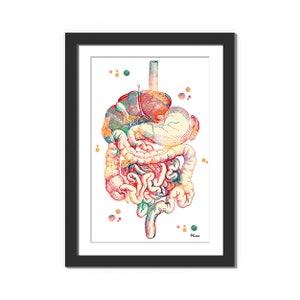 Digestive System Anatomy Print Gastrointestinal Tract Watercolor GI ...