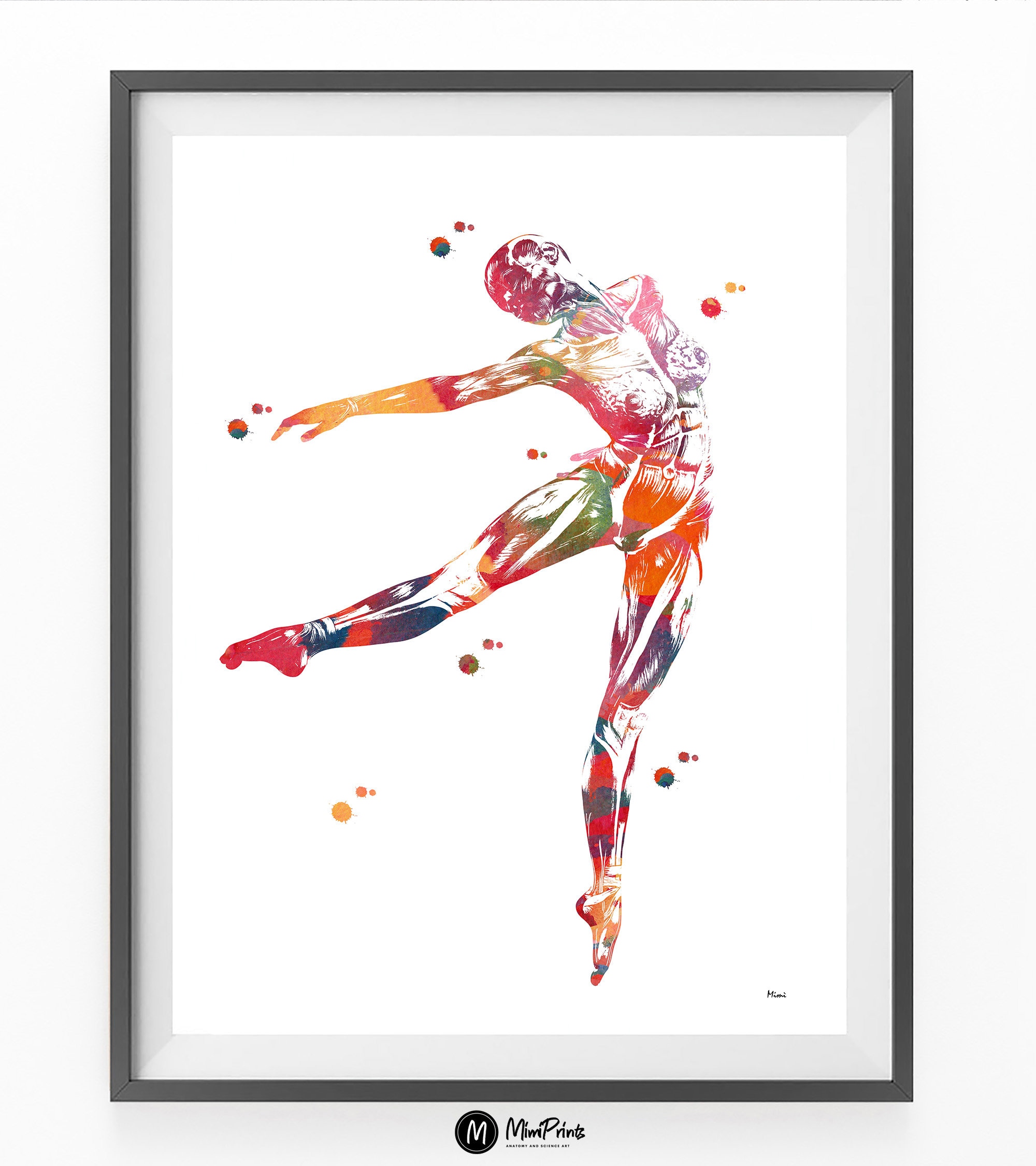 Dance Anatomy Watercolor Print, Muscular System Art - Etsy