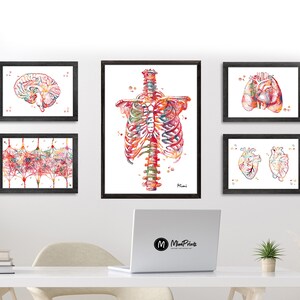 Rib Cage Anatomy Print Human Thorax Medical Art Watercolor Poster ...