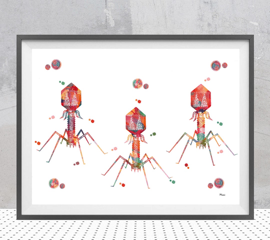 Bacteriophage Watercolor Print Science Poster Phage Illustration ...