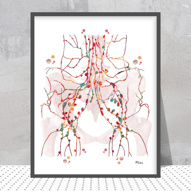 Lymphatic Drainage Poster - Etsy