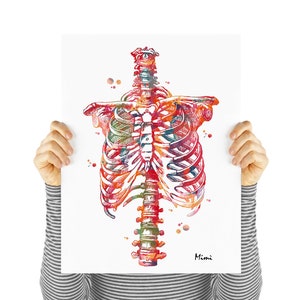 Rib Cage Anatomy Print Human Thorax Medical Art Watercolor Poster ...