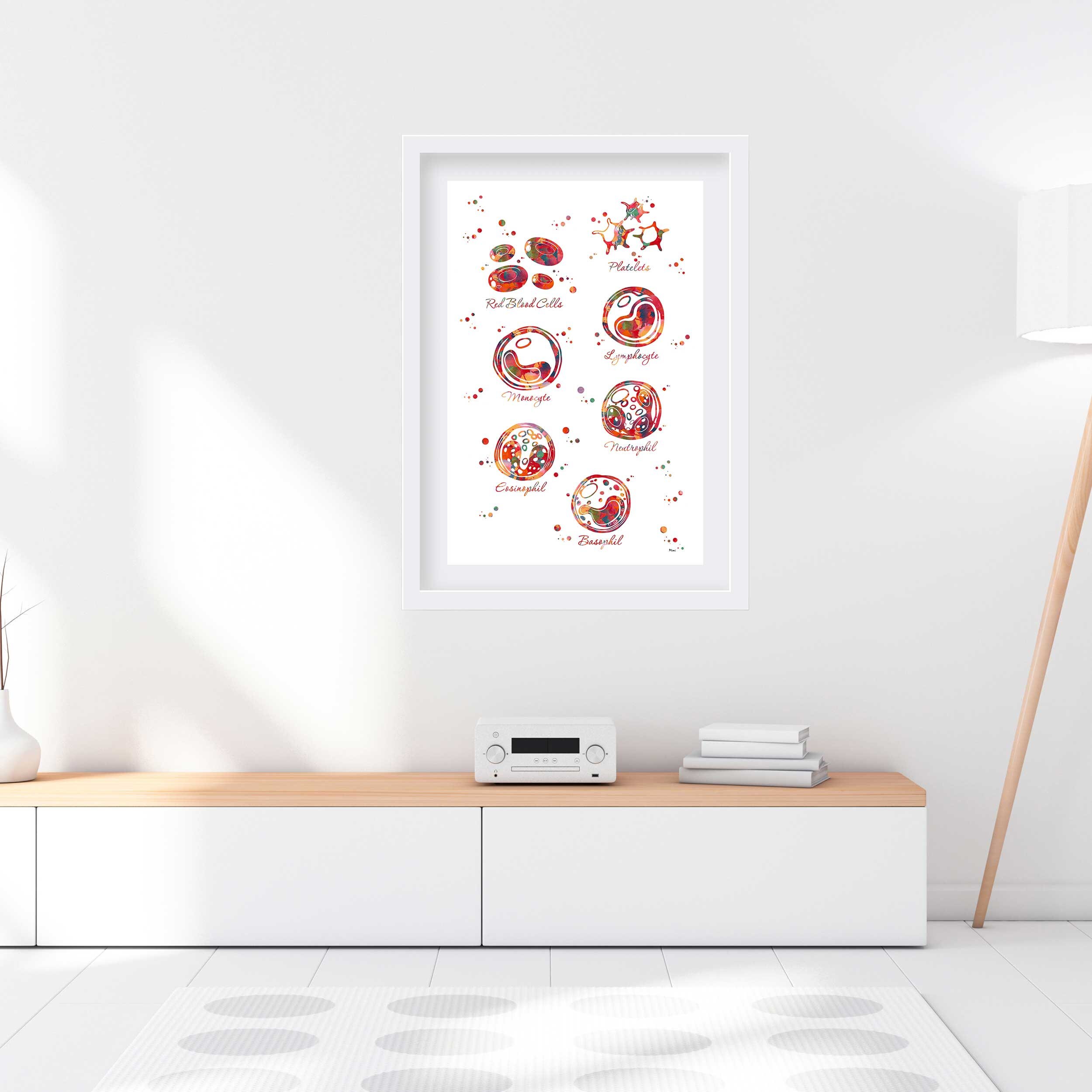 Blood Cells Anatomy Watercolor Print Hematology Poster Red - Etsy