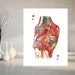 Knee Joints Medical Art Print Knee Ligaments and Tendons Poster ...