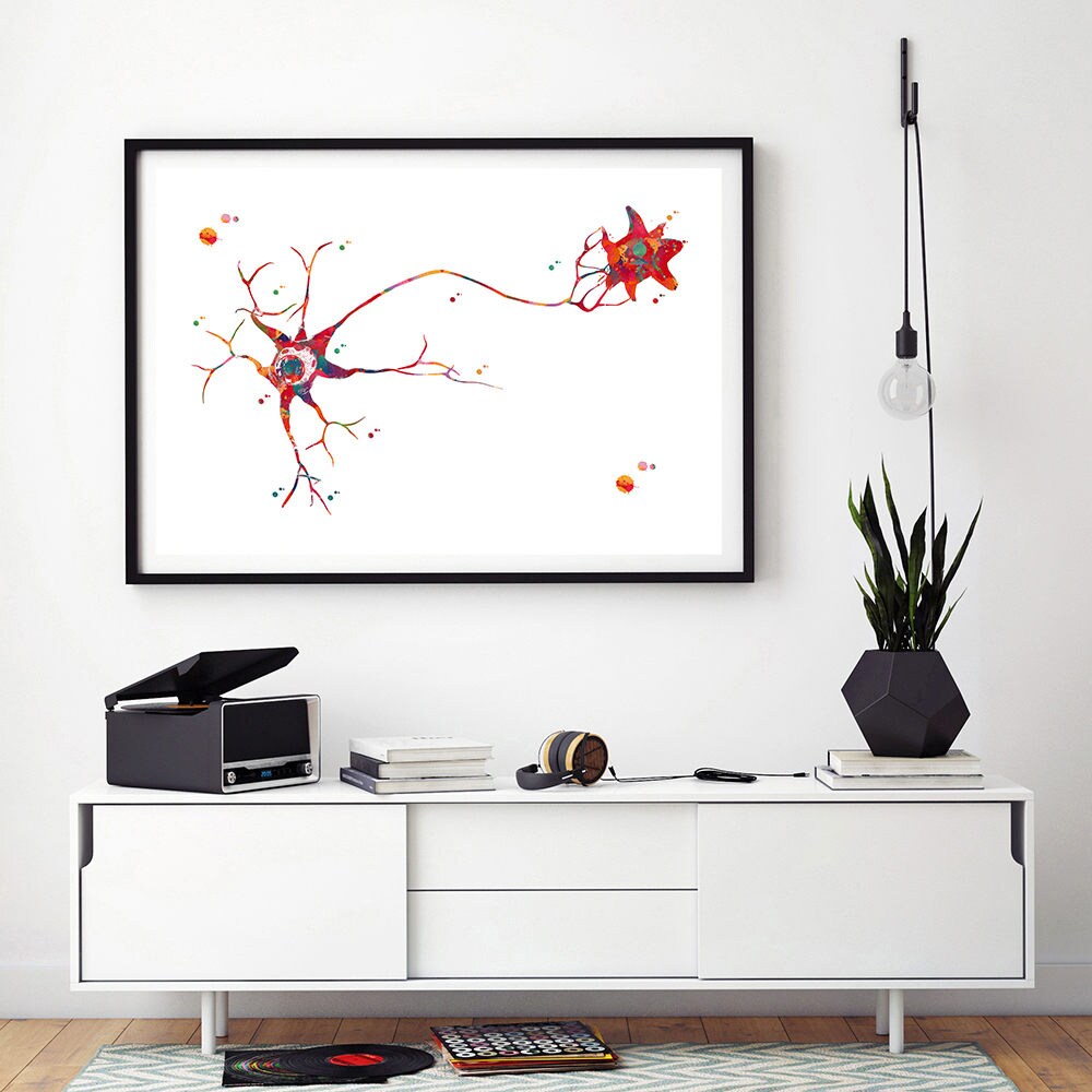 Multipolar Neuron Print Neuron With Axon and Dendrites - Etsy