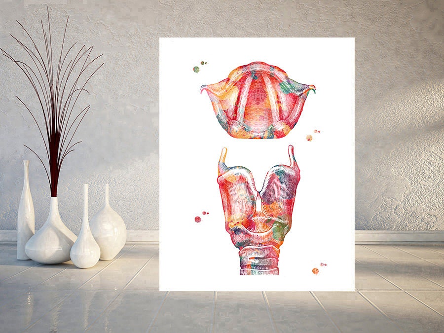 Larynx Watercolor Print Mouth Anatomy Medical Art Vocal Box | Etsy