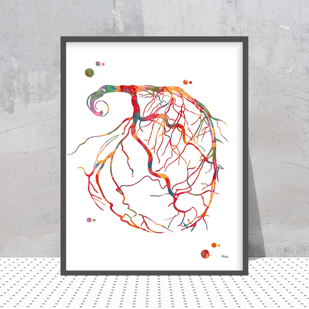 Heart Vascularization Print Coronary Angiogram Poster Cardiology Art ...