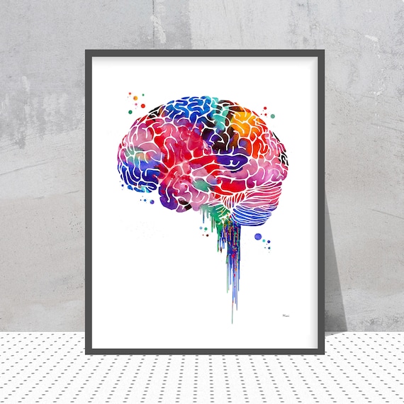 Brain Watercolor Print Anatomy Art Brain Lateral View Poster | Etsy