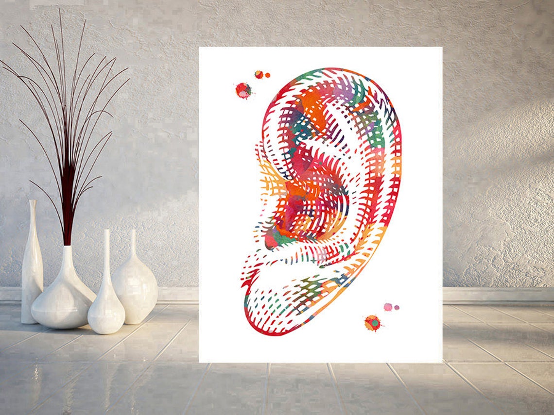 Audiology Art Print Ear Watercolor Anatomy Art Outer Ear - Etsy