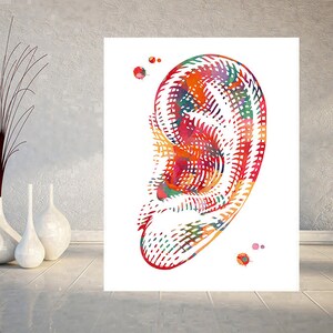 Audiology Art Print Ear Watercolor Anatomy Art Outer Ear Illustration ...