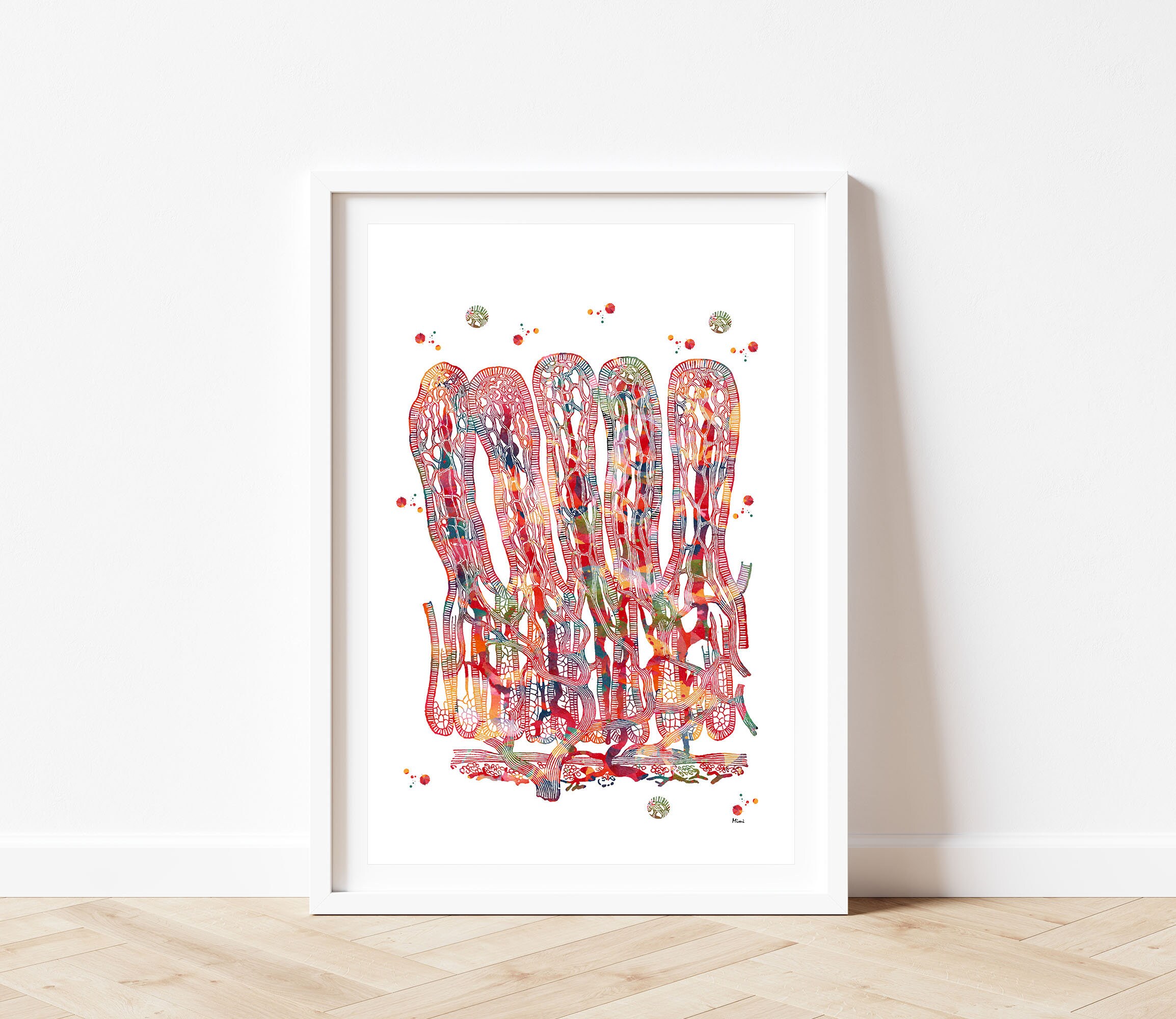 Watercolor Painting atomy art intestine watercolor organs villi small ...