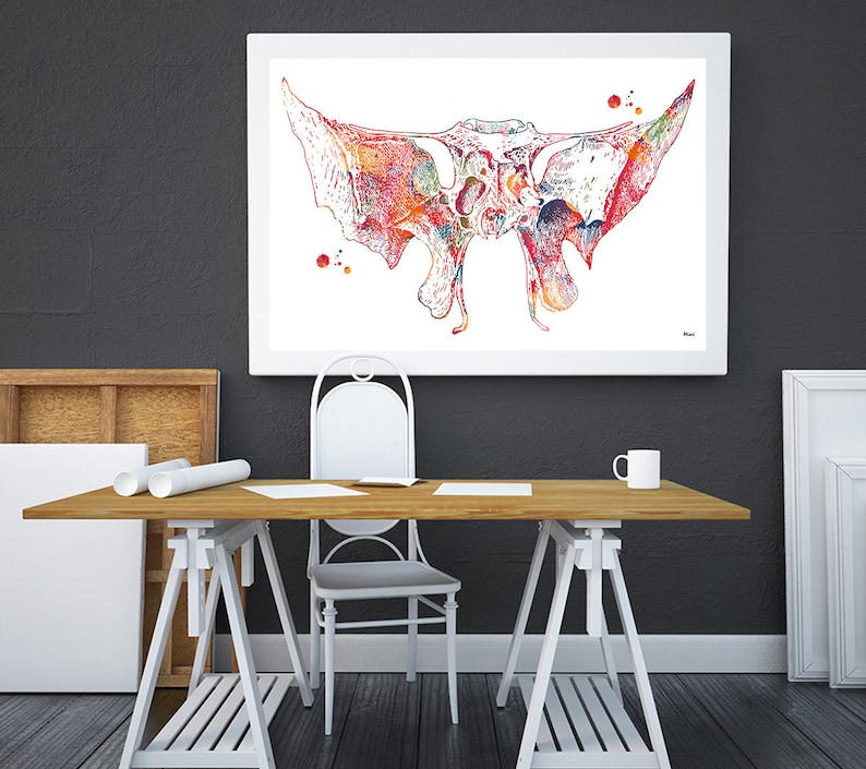 Sphenoid Bone Watercolor Print Medical Art Poster Cranium Bones Anatomy ...