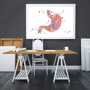 The Stomach Watercolor Print the Human Stomach Poster Medical Art ...