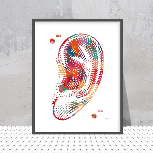 Outer Ear Anatomy Watercolor Print Audiology Poster Cross - Etsy Outer Ear Anatomy Watercolor Print Audiology Poster Cross - Etsy