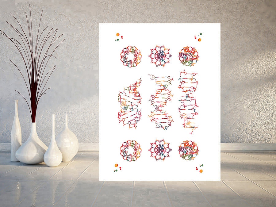 DNA Science Art Genetics Print DNA Helix Conformation | Etsy