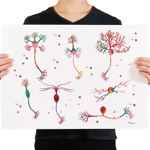 Neuron Types Print Neurons Watercolor Brain Cells Science Poster ...