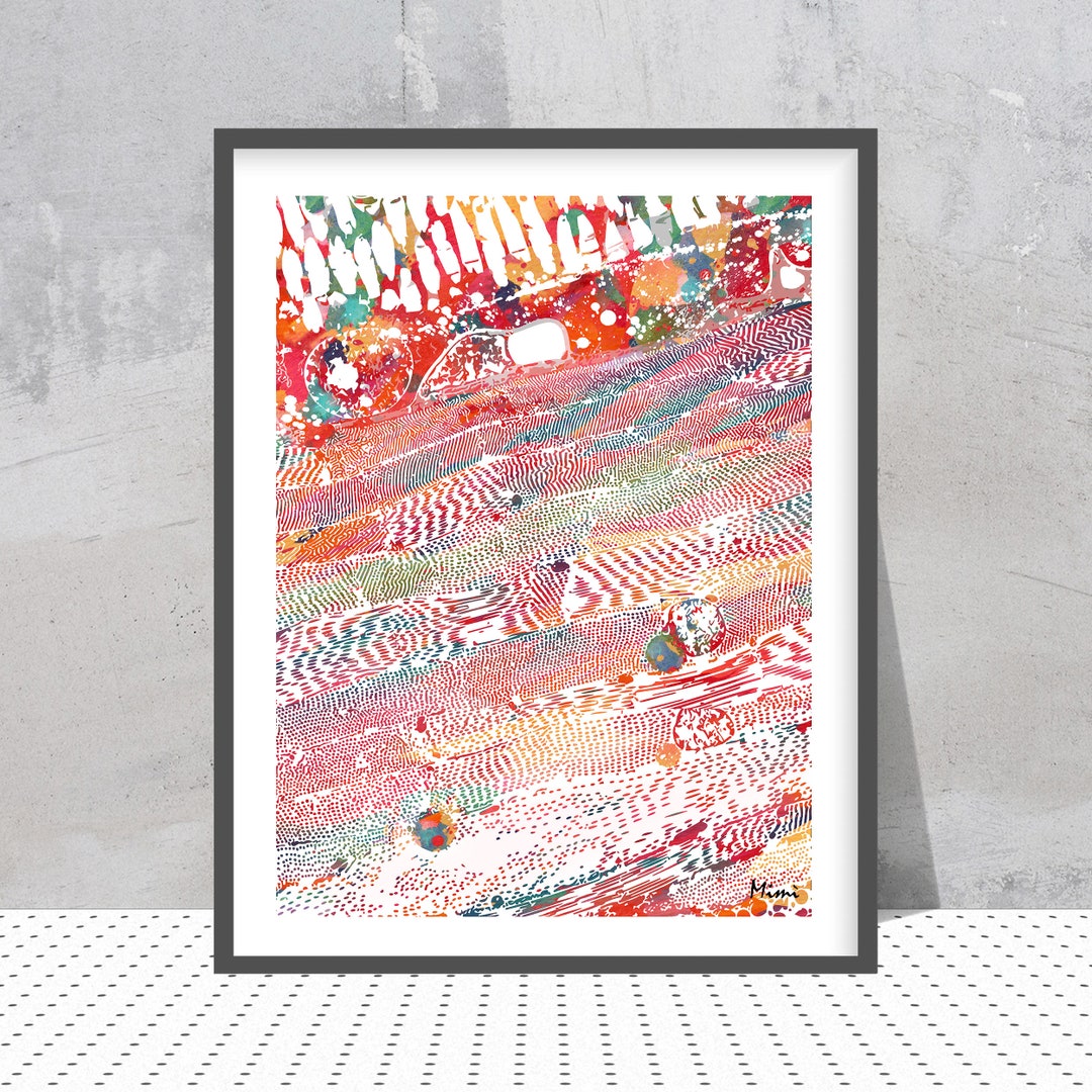 Tapetum Lucidum Veterinary Print Eye Cat Tapetum Lucidum Cells - Etsy