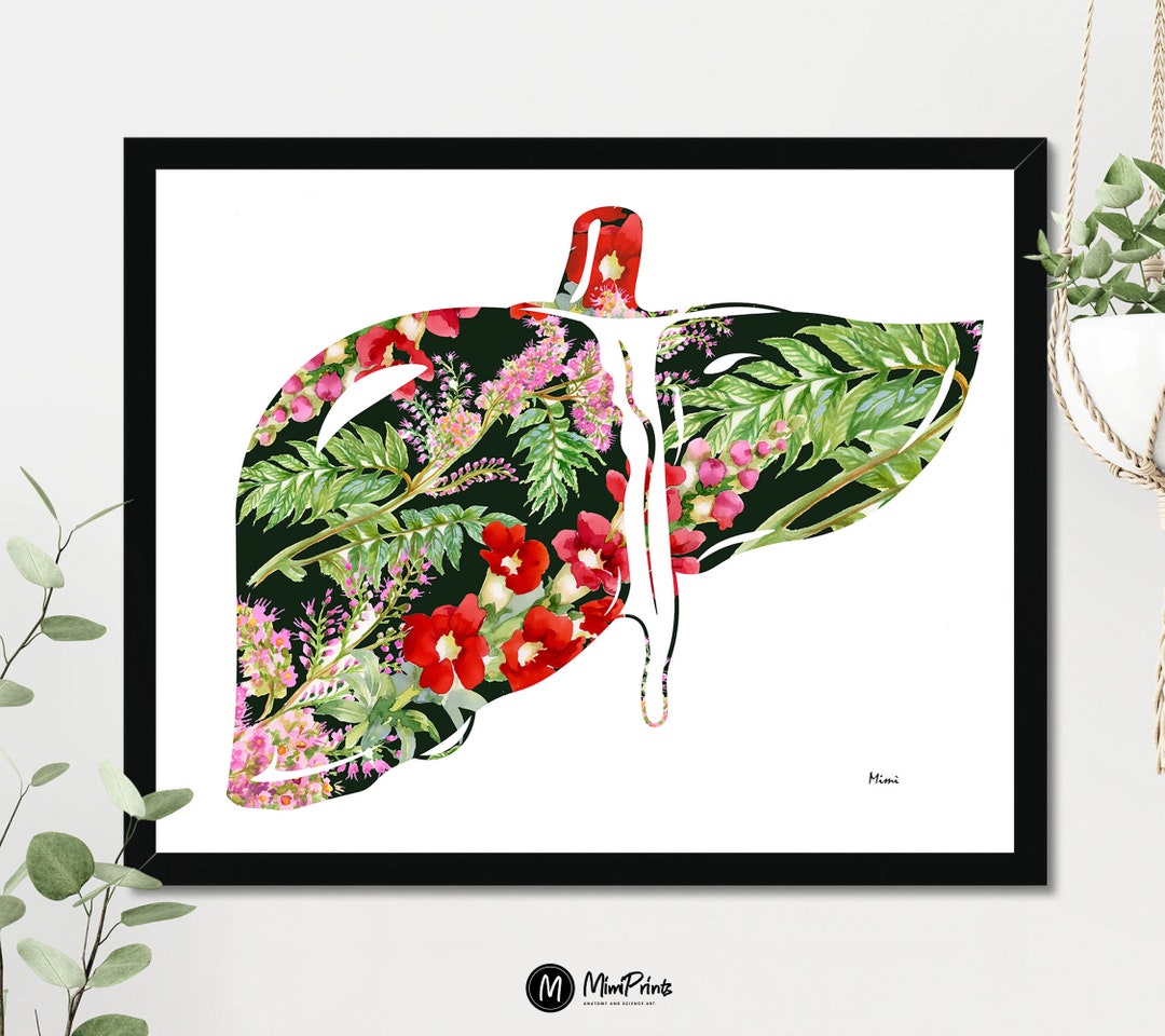 Liver Anatomy Print Floral Anatomy Watercolor Poster Medical Art Print ...
