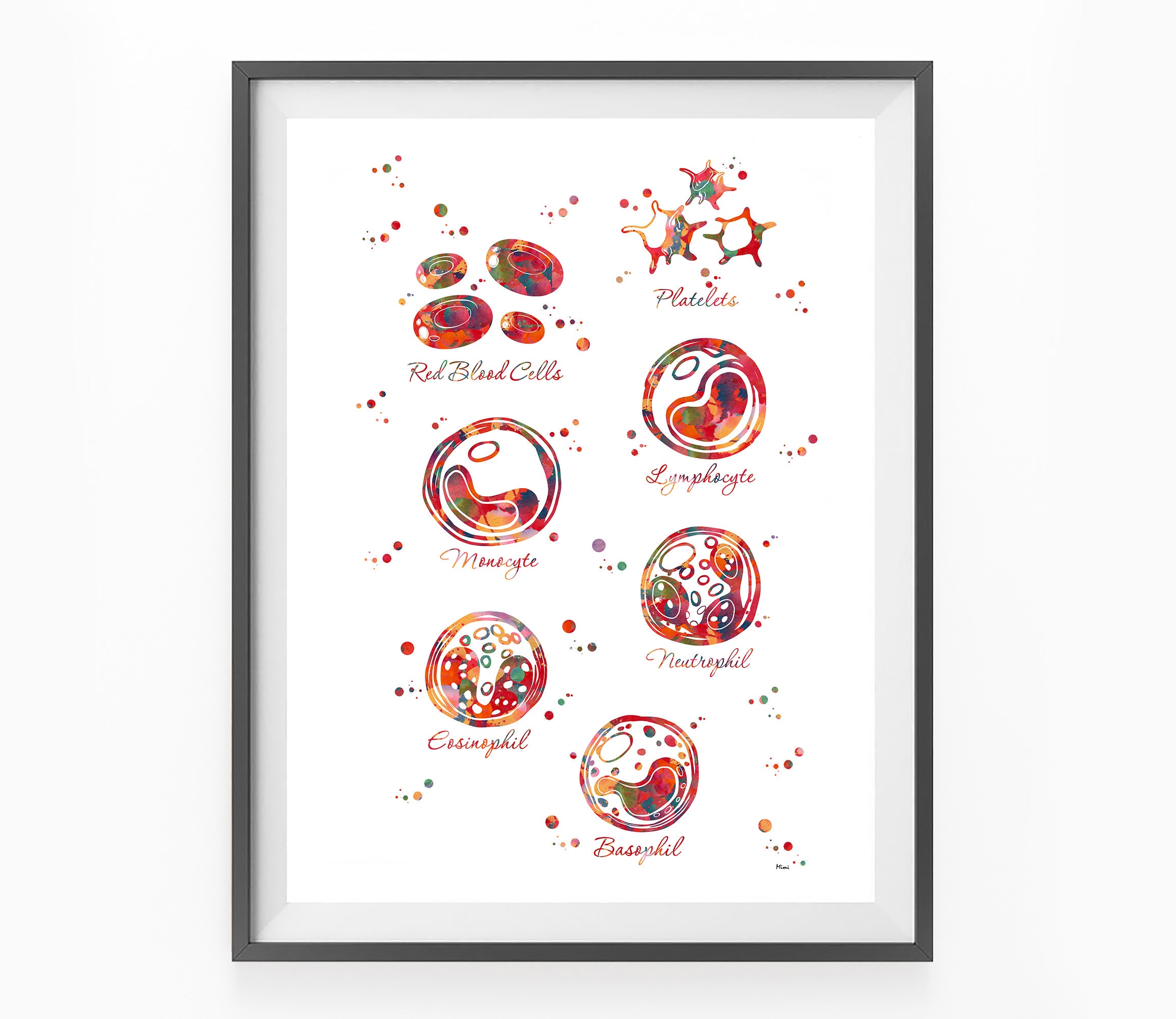 Blood Cells Anatomy Watercolor Print Hematology Poster Red - Etsy