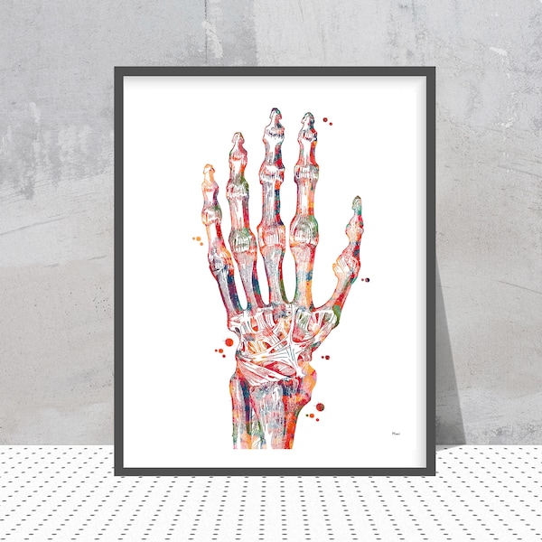 Anatomy Art - Etsy