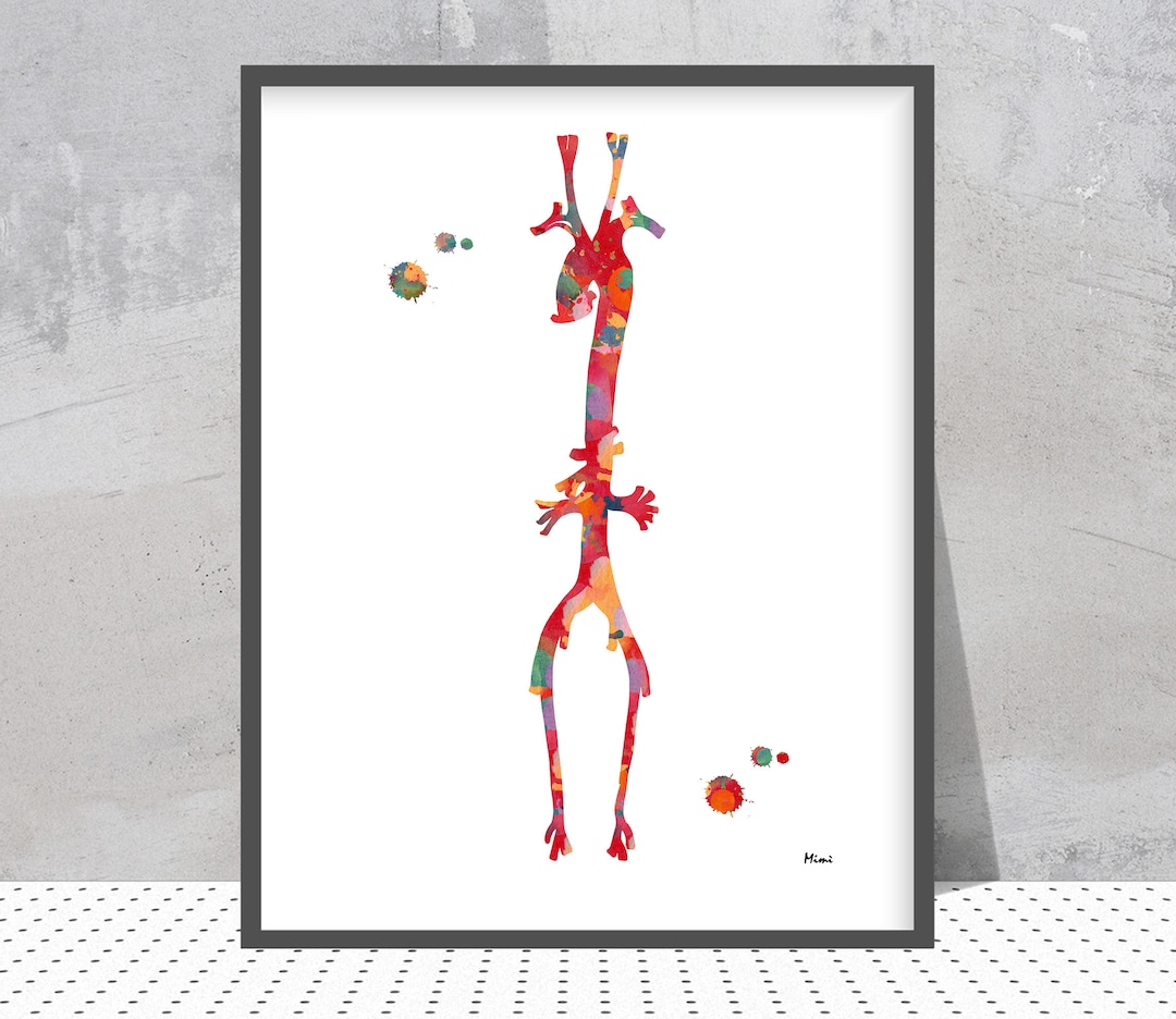 Aorta Watercolor Print Abstract Anatomy Schematic Illustration Blood ...
