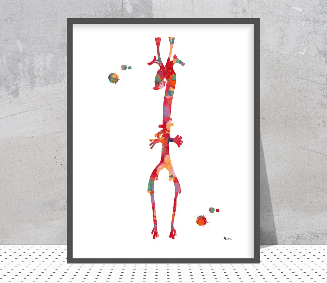 Aorta Watercolor Print Abstract Anatomy Schematic Illustration | Etsy