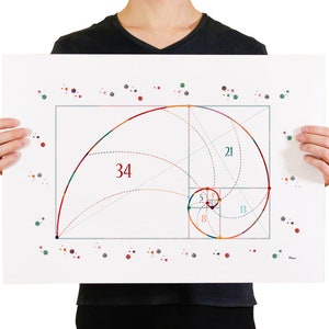 Fibonacci Sequence Watercolor Print Science Art Illustration Fibonacci ...
