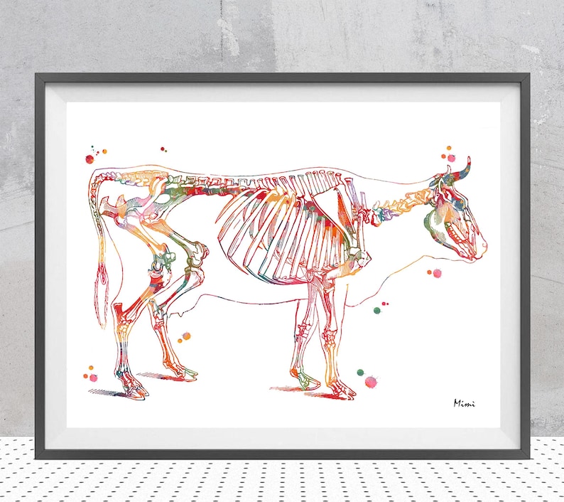 Cow Skeletal System Print | Veterinary Art | Vet Clinic Decor - Etsy