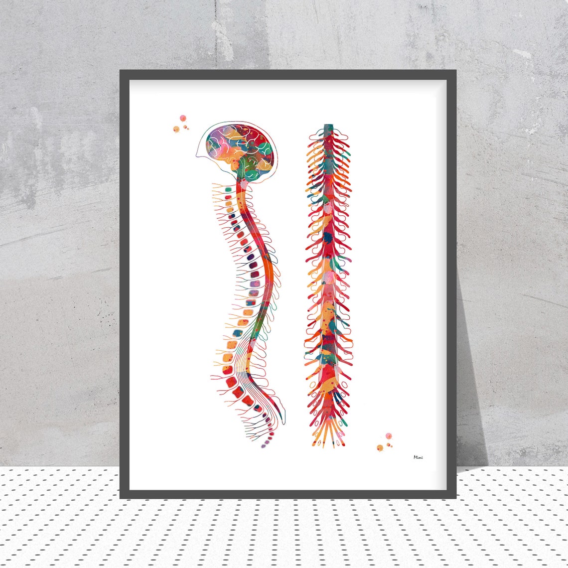 Spine Watercolor Print Anatomy Art Spinal Cord Poster Vertebral Column ...