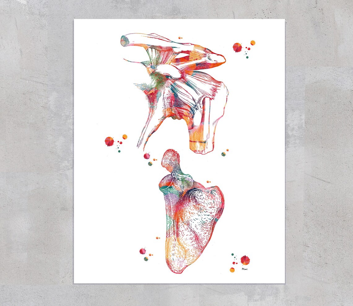 Shoulder Bones Watercolor Print Anatomy Art Scapula And | Etsy