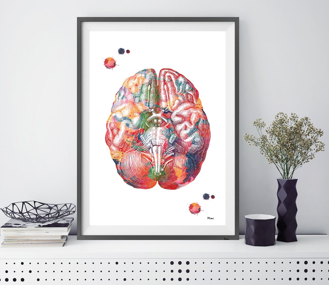 Human Brain Print Brain Bottom View Poster Neurology Art Brain - Etsy