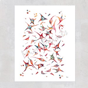 Mesenchymal Stem Cells Biology Print Stromal Cells Science Art ...