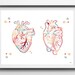 Human Heart Watercolor Print Medical Art Heart Poster - Etsy