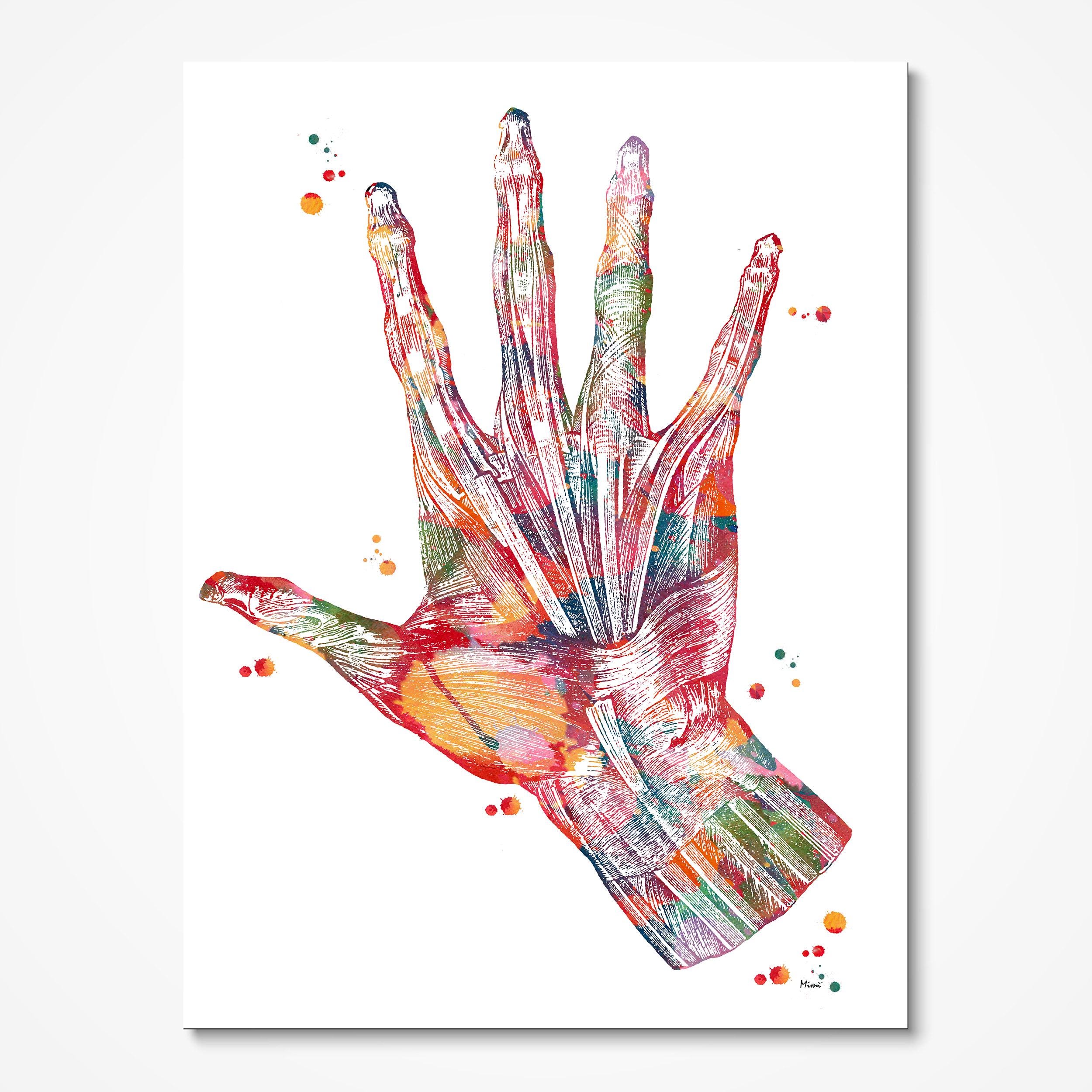 Hand Anatomy Watercolor Print, Muscles & Ligaments Art - Etsy