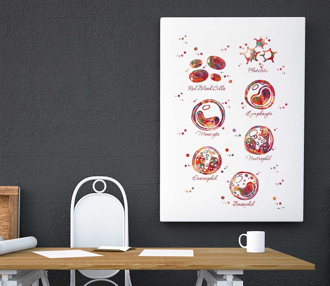 Blood Cells Anatomy Watercolor Print Hematology Poster Red - Etsy