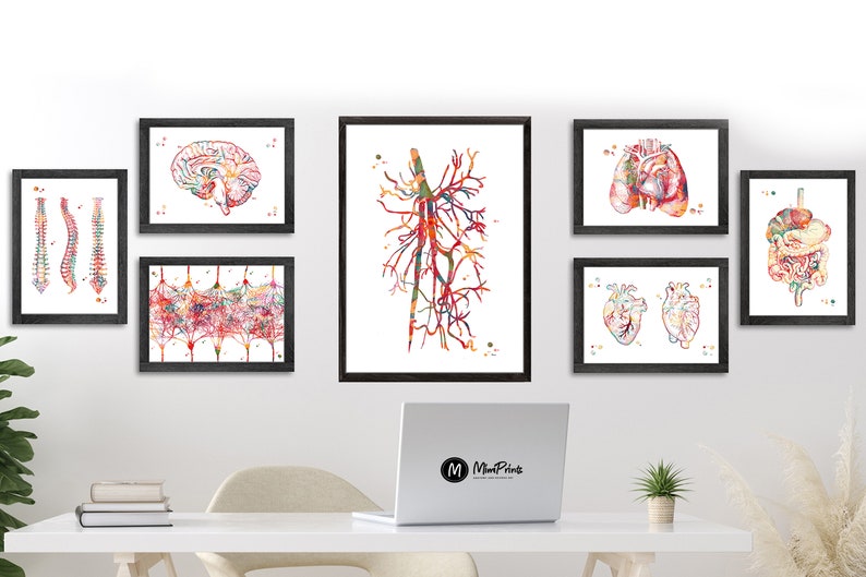 Angiogram Print Deep Femoral Artery Watercolor Profunda Femoris ...