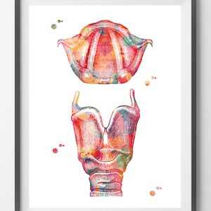 Larynx Watercolor Print Mouth Anatomy Medical Art Vocal Box Poster ...