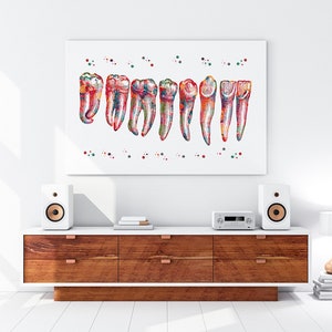 Dental Art Print Teeth Anatomy Art Teeth Row Watercolor Medical Art ...