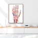 Hand Bones Anatomy Art Print Radiocarpal Joint Poster Wrist Joint ...