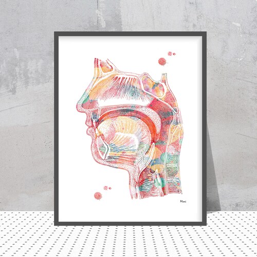 Larynx Watercolor Print Mouth Anatomy Medical Art Vocal Box - Etsy